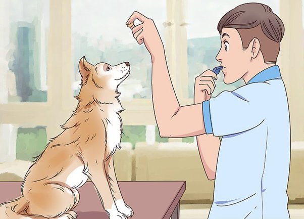 Reinforcement Learning: Optimising Data-Driven Decision-making by ...